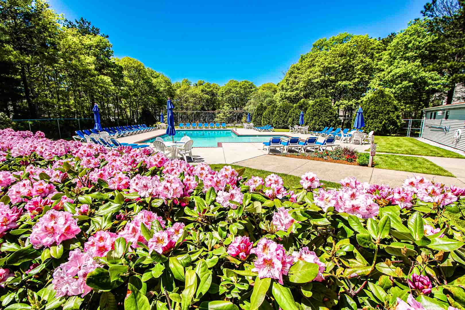 VRI Americas – From Coast to Crest